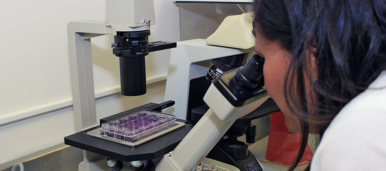 School of Medicine – Medical Science Campus | University of Puerto Rico